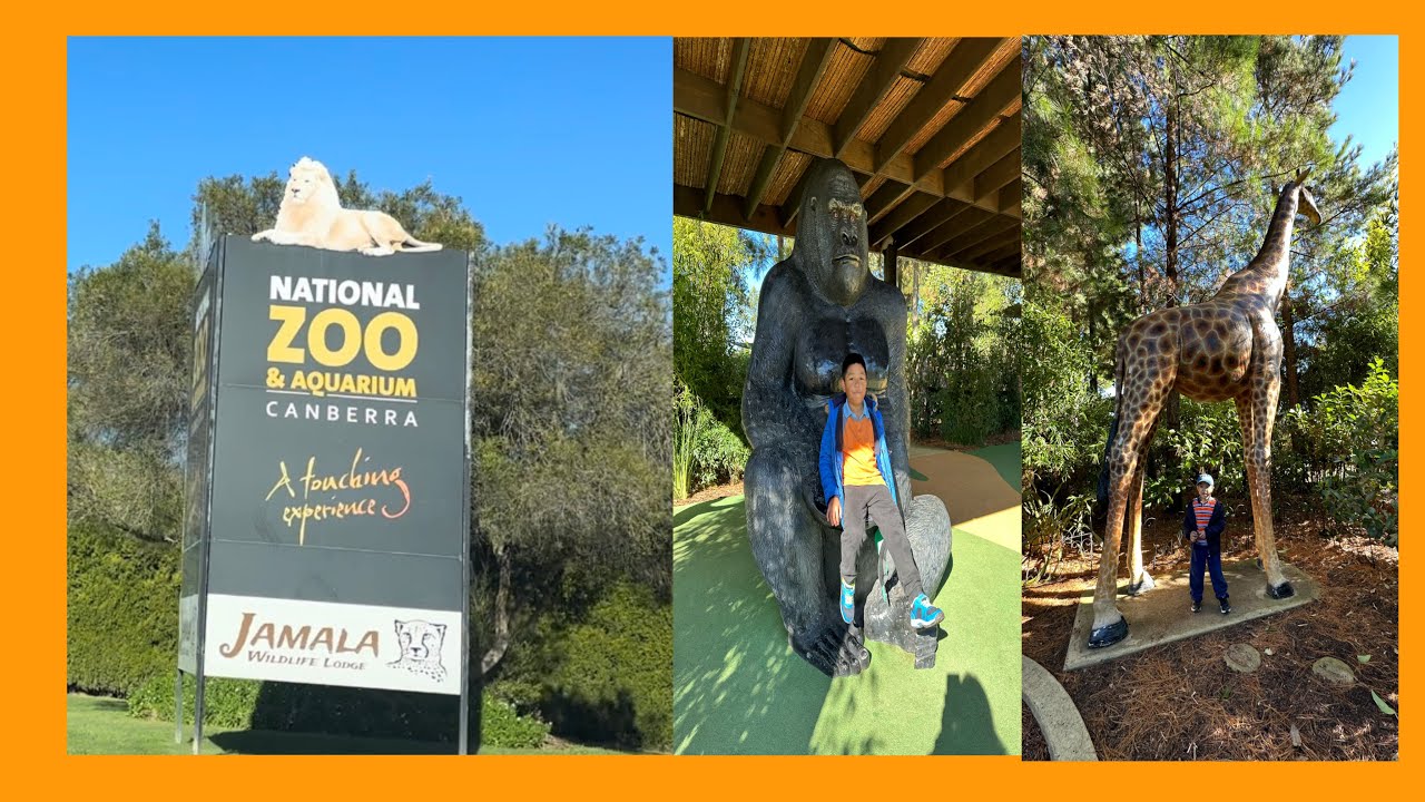 INSIDE THE NATIONAL ZOO AND AQUARIUM IN CANBERRA - YouTube