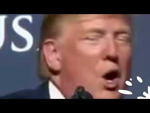 Donald Trump "I'm Gonna Come" / Kamala Harris "Do Not Come": Video ...