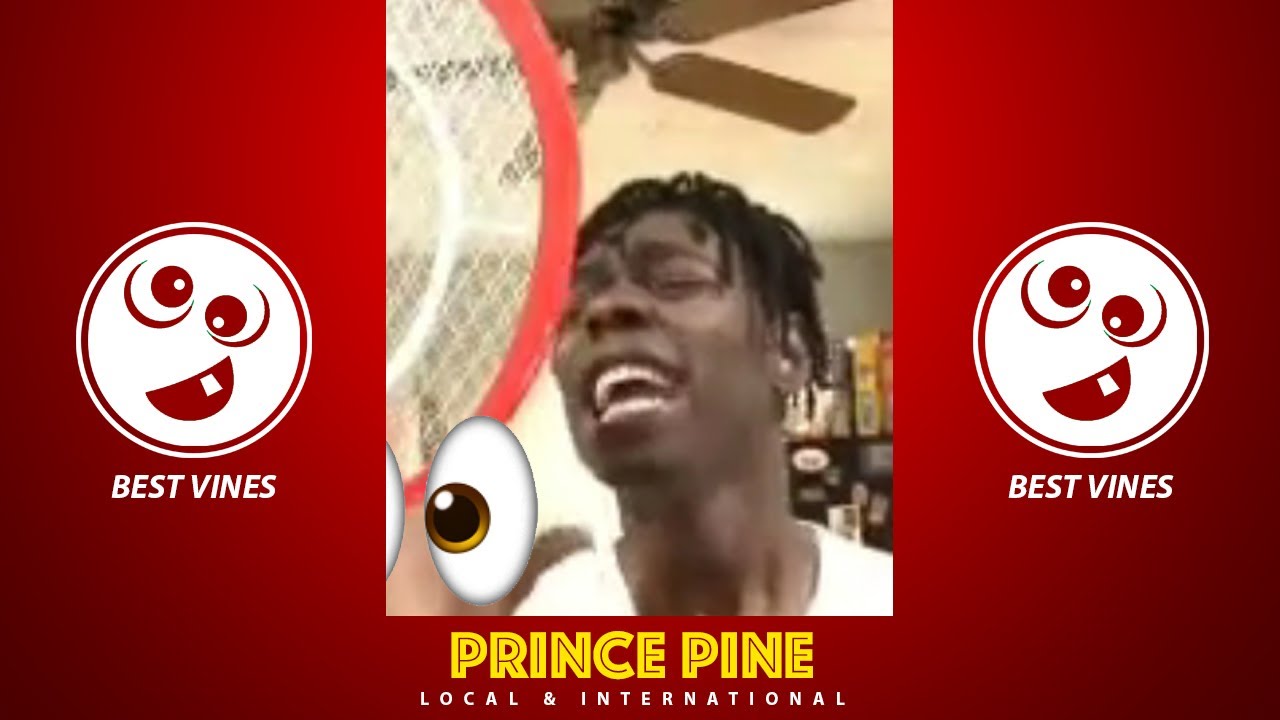 PRINCE PINE BEST VINES 2020 | COMPILATION #1 | MUST SEE!!! - YouTube