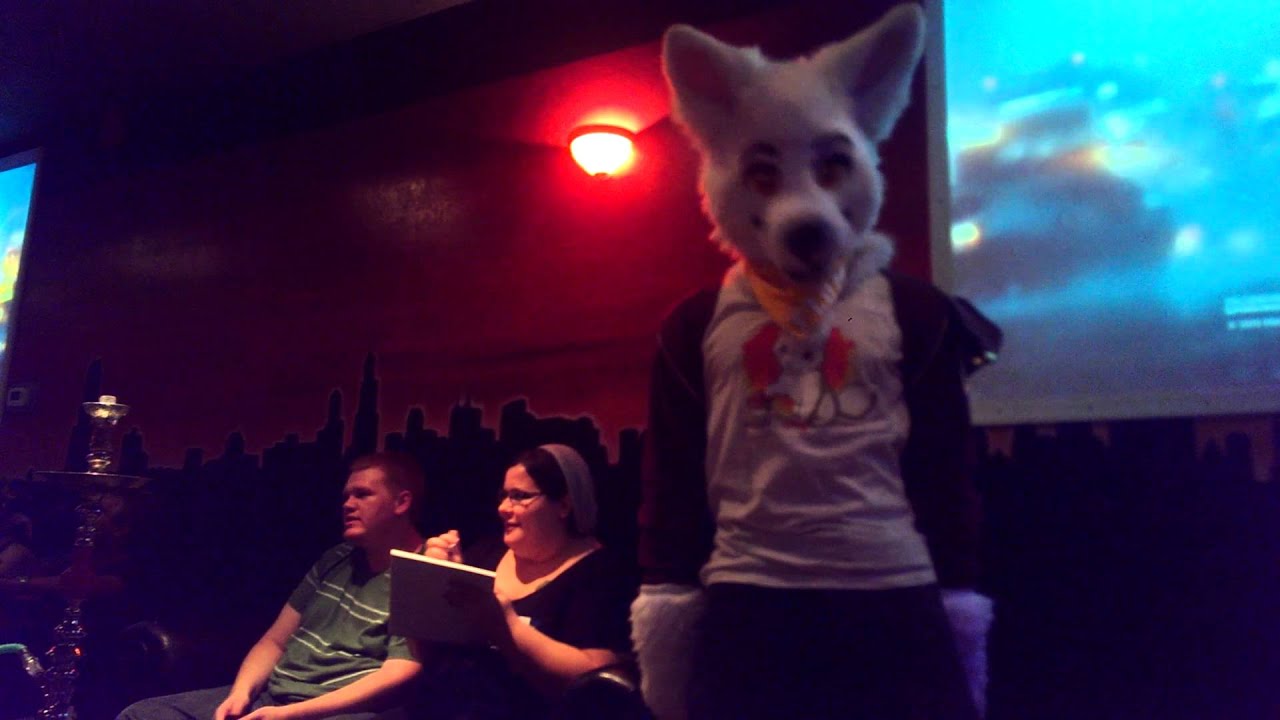 What do the Furries say? - YouTube