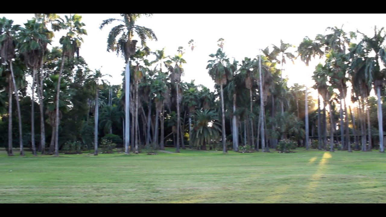 MOCHIKOS .Tv® UN RECORRIDO POR EL PARQUE SINALOA O PARQUE BOTANICO EN ...