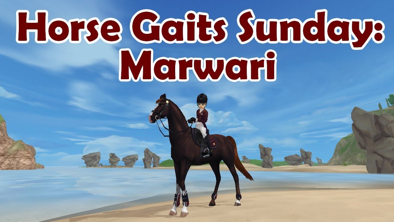 Horse Gaits Sunday: Marwari | #SSO - YouTube