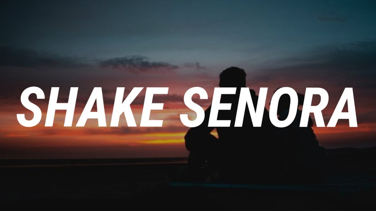 Pitbull - Shake Senora (Lyrics) ft. T-Pain, Sean Paul - YouTube