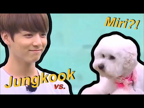Jungkook and Miri Moments