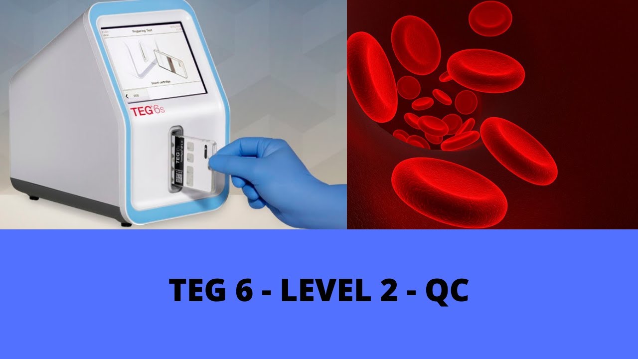 TEG 6 LEVEL 2 QC - YouTube