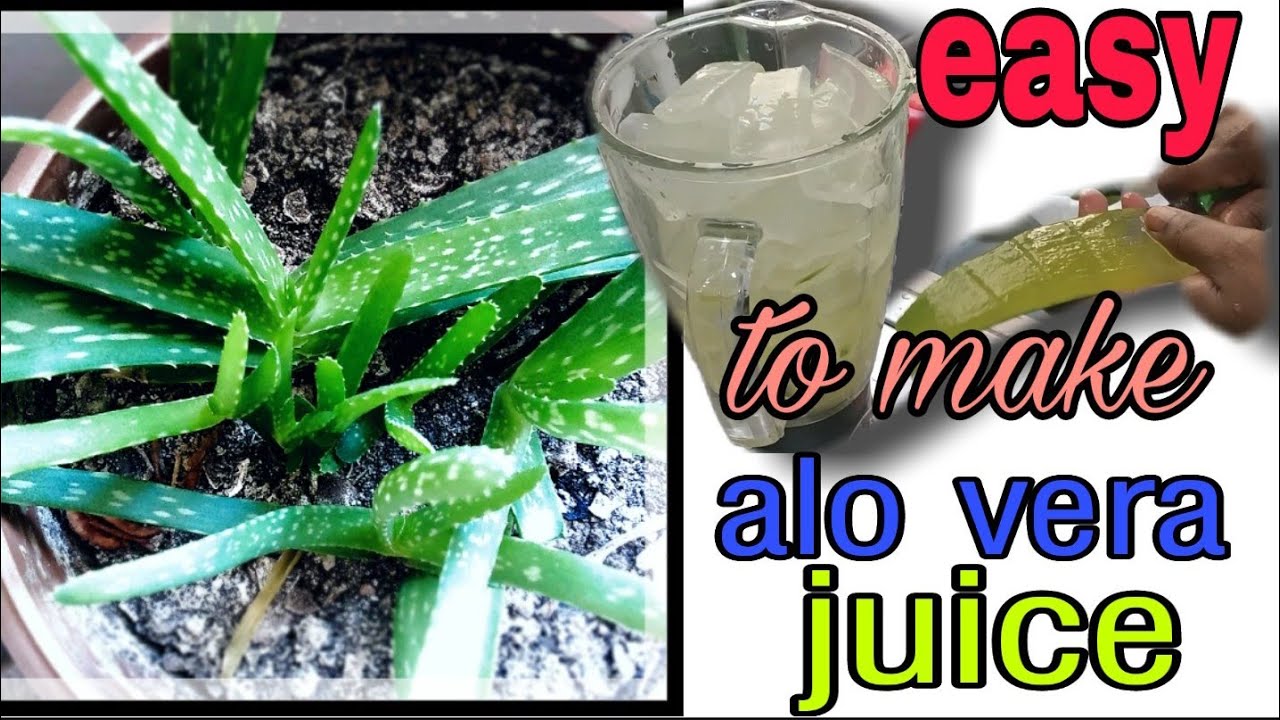 Alovera juice is good for your health/how to make it? - YouTube