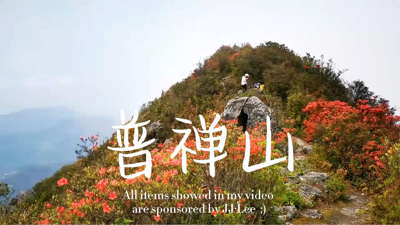 普禅山杜鹃花海徒步Hiking on Puchan Mountain to see azaleas - YouTube