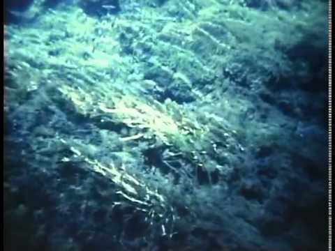 Blue Hole and Clear Lake, Oregon - YouTube