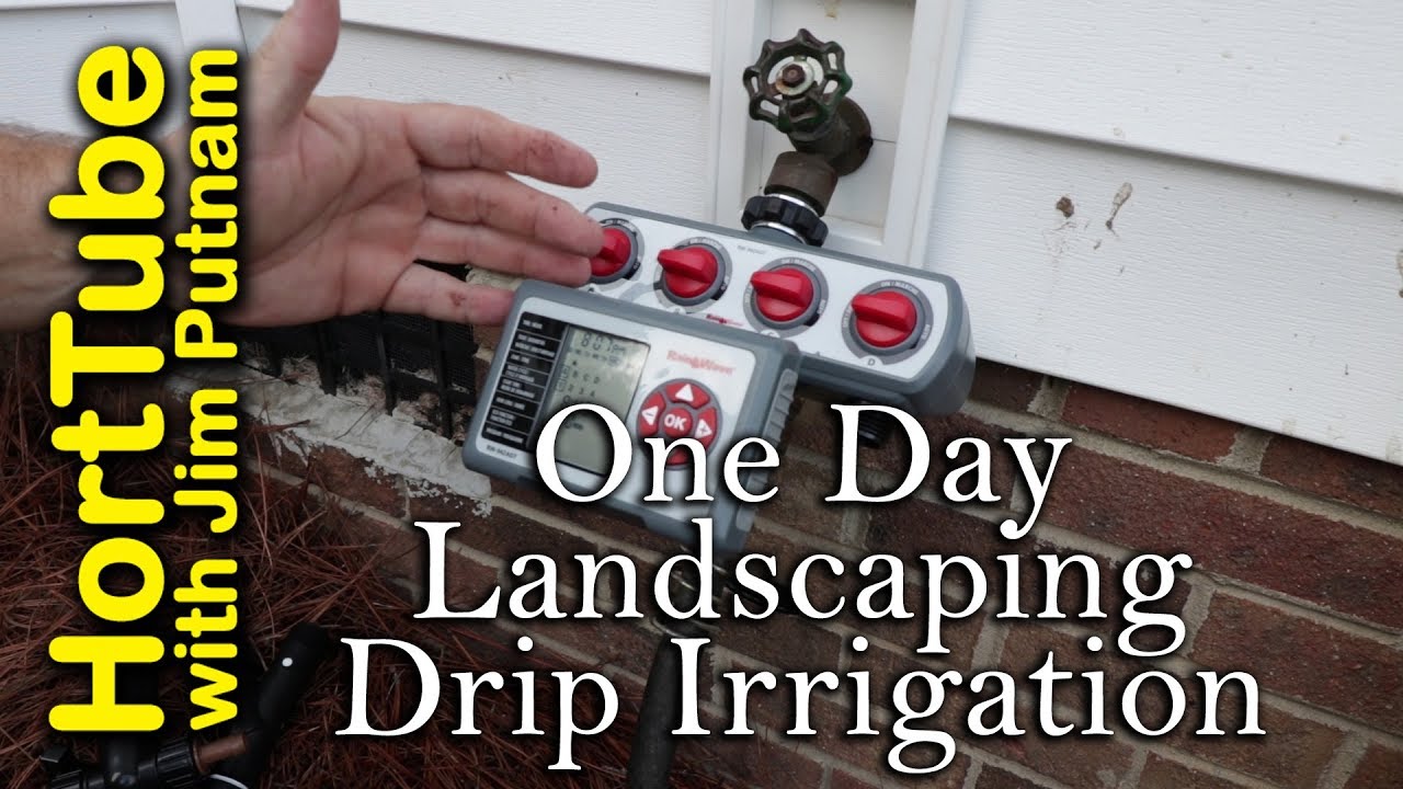 Installing Drip Irrigation On A Small Landscape Project - YouTube