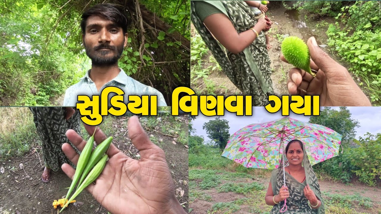 સુડિયા વીણવા ગયા 🫛| ફૂલ વરસાદ આવ્યો 😍 | Sudiya Vinva Gaya | - YouTube