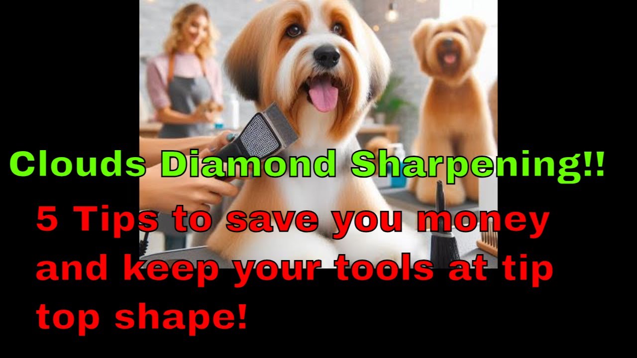 Top 5 Dog Grooming Tips Every Groomer Should Know! - YouTube