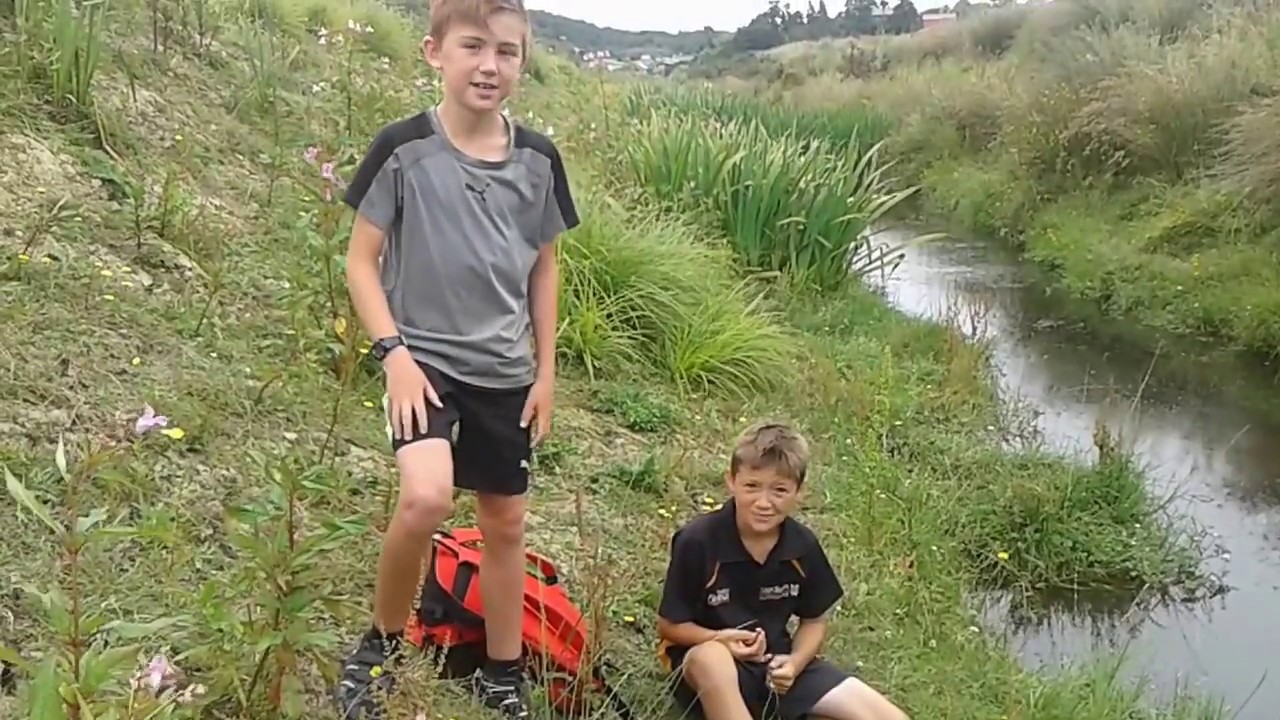 How To Catch Eels | Eel Catching Part 1 - YouTube