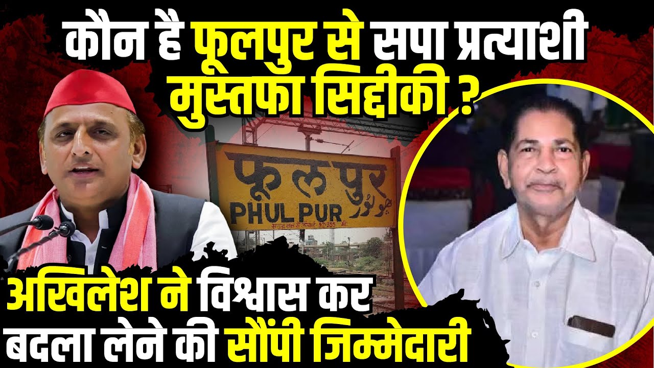 कौन हैं Phulpur से सपा प्रत्‍याशी Mustafa Siddiqui ? | The Rajneeti ...