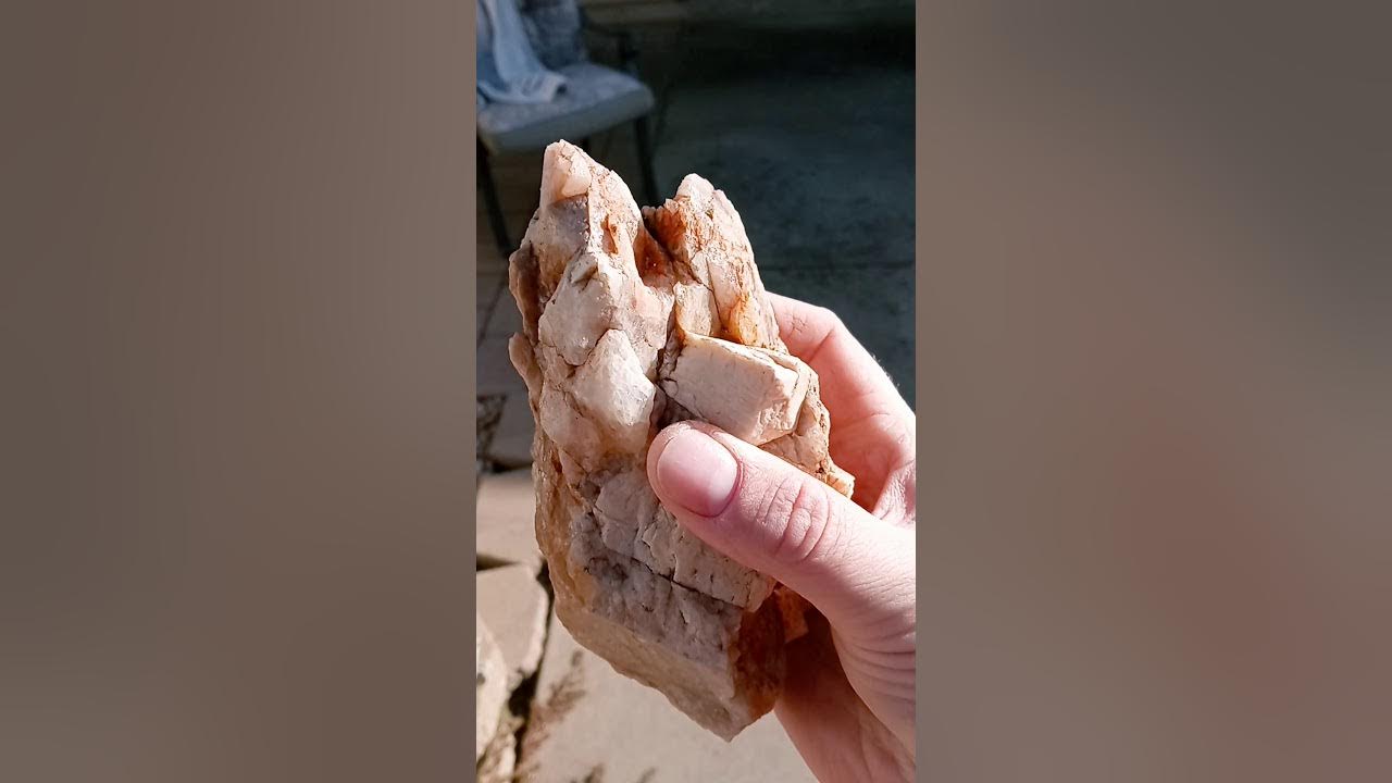 Mudfossil University 1 Youtube