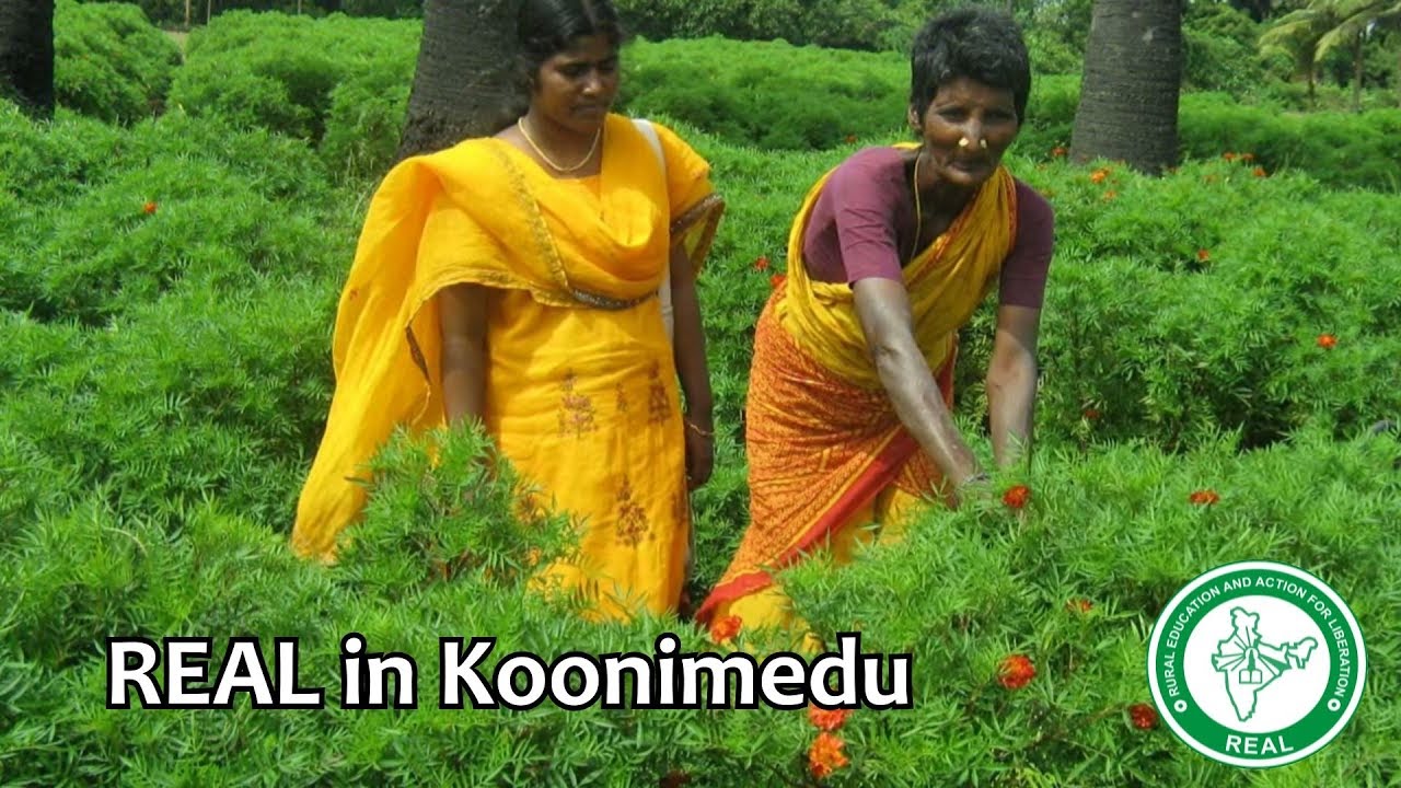 REAL in Koonimedu - YouTube