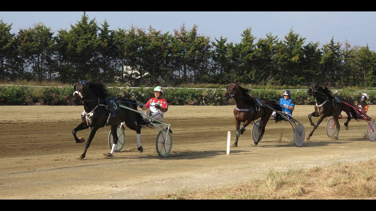 Trotto Corse 14 MAGGIO 2018 - YouTube