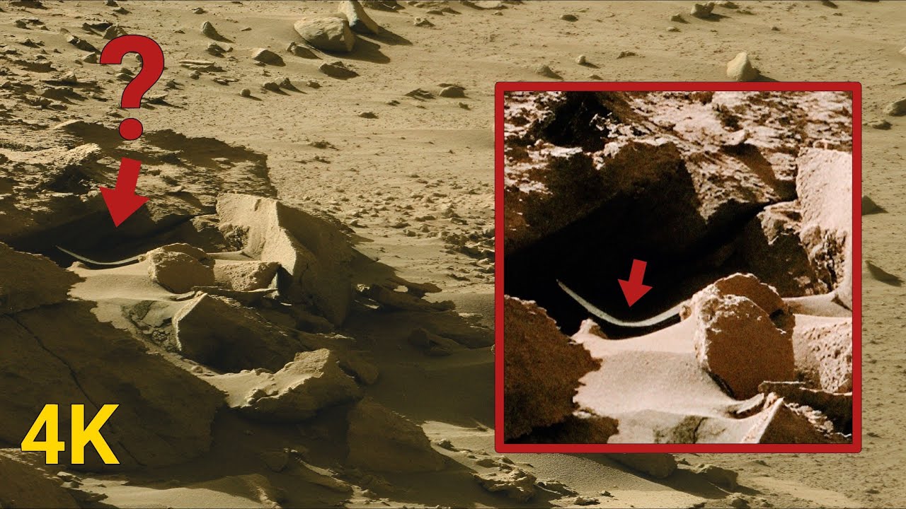 NASA Reveals Strange and Surprising Scenes on Mars | Perseverance ...