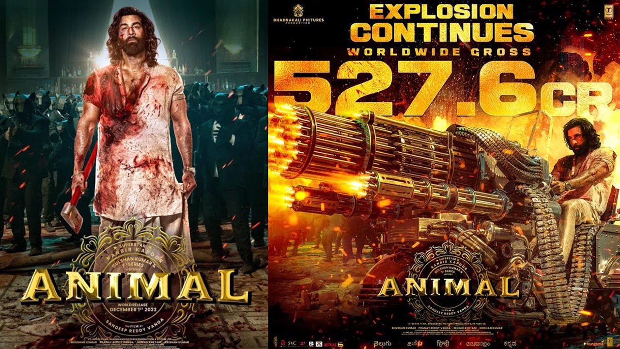 'Animal' Film Crosses 500 Crores Worldwide | Ranbir Kapoor's 'Animal ...