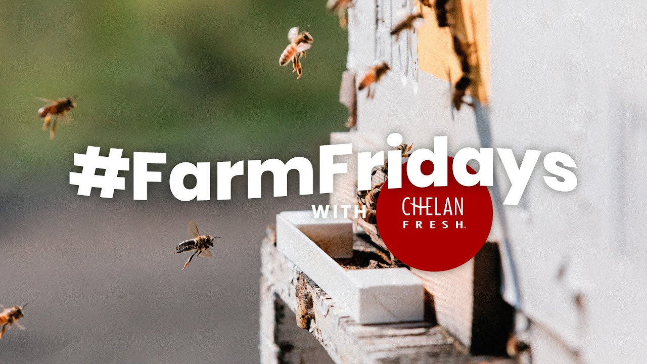 Farm Fridays Week 3 - Thank You Bees! - YouTube