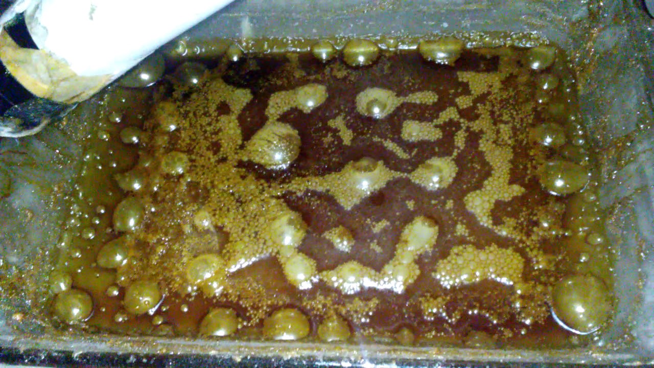 Butane wax alien og kush - YouTube