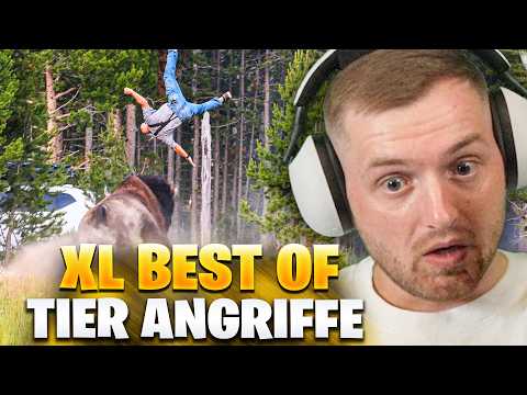 😱🤯Die KRASSESTEN TIERANGRIFFE aller ZEITEN! - REAKTION | Trymacs Stream Highlights