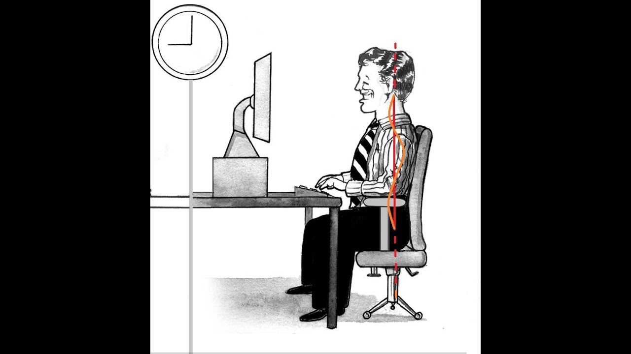 The Science of Sitting: Posture and Ergonomics for the Home and Office ...