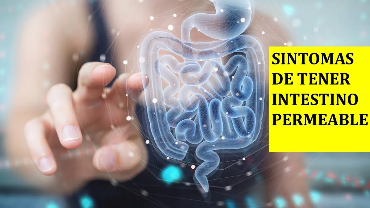 SINTOMAS DE INTESTINO PERMEABLE?' - YouTube