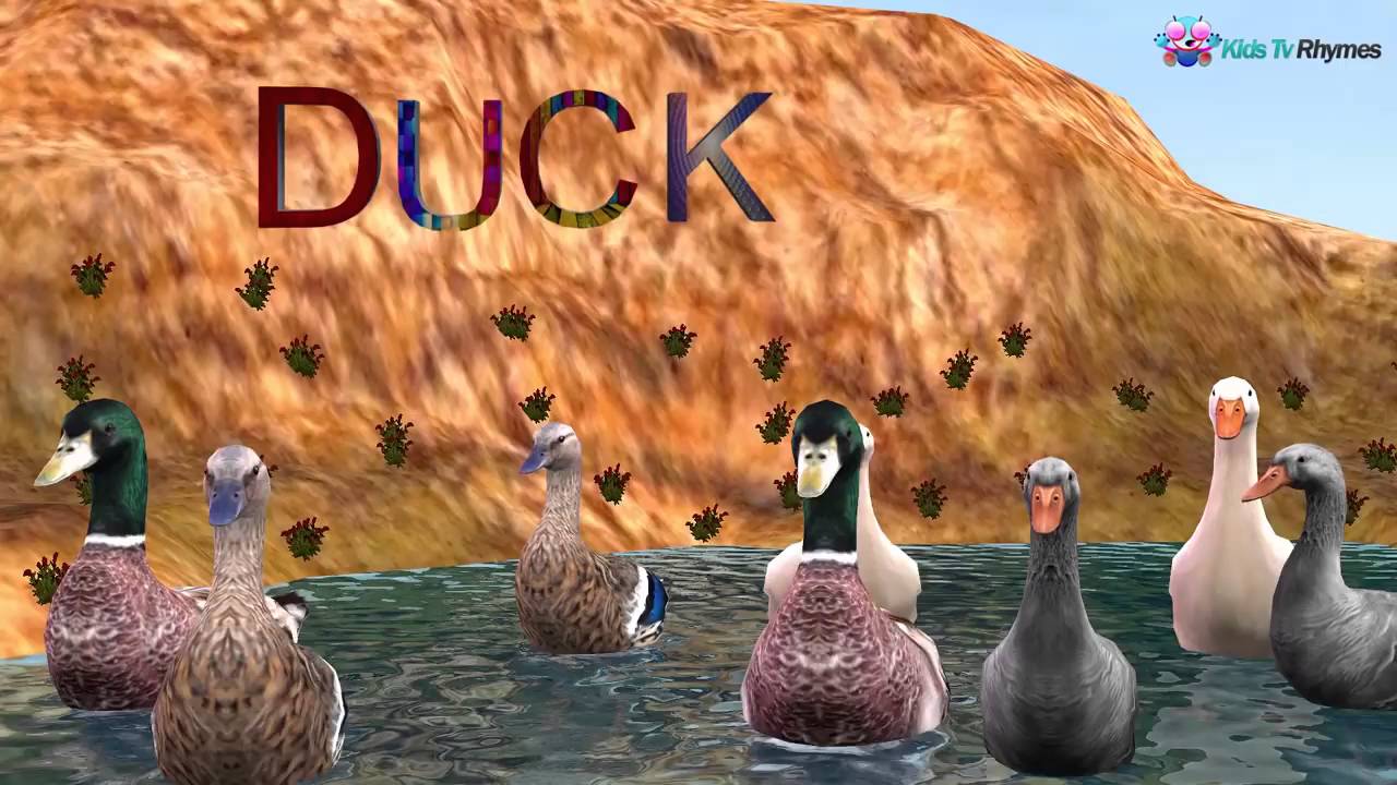 Horse, Cow, Sheep, Hen, Donky, Duck Nursery Rhymes | Learning Sounds ...