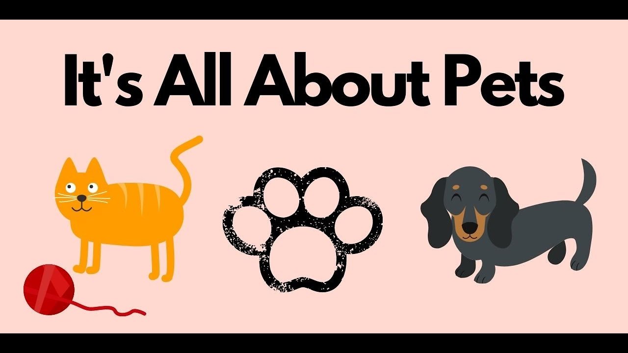 It's All About Pets - YouTube