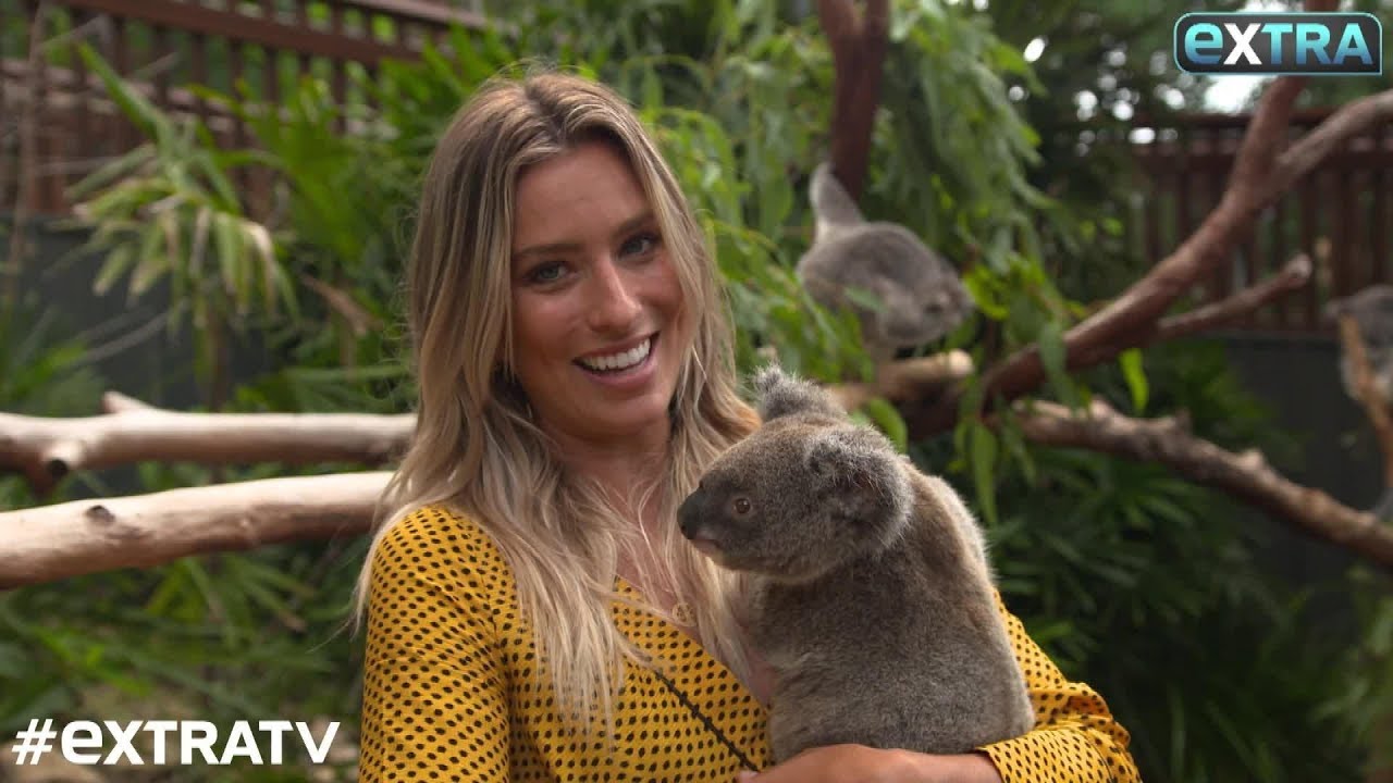 Koala Cuddling, Secluded Beaches, and Sailing in the Whitsundays in ...