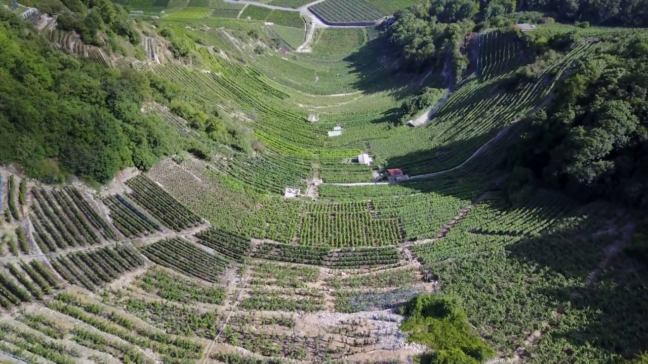 Valais Vineyards - YouTube