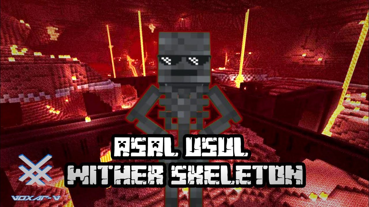 Asal usul Wither Skeleton [VOXAR-V] -Minecraft Animation- #minecraft # ...