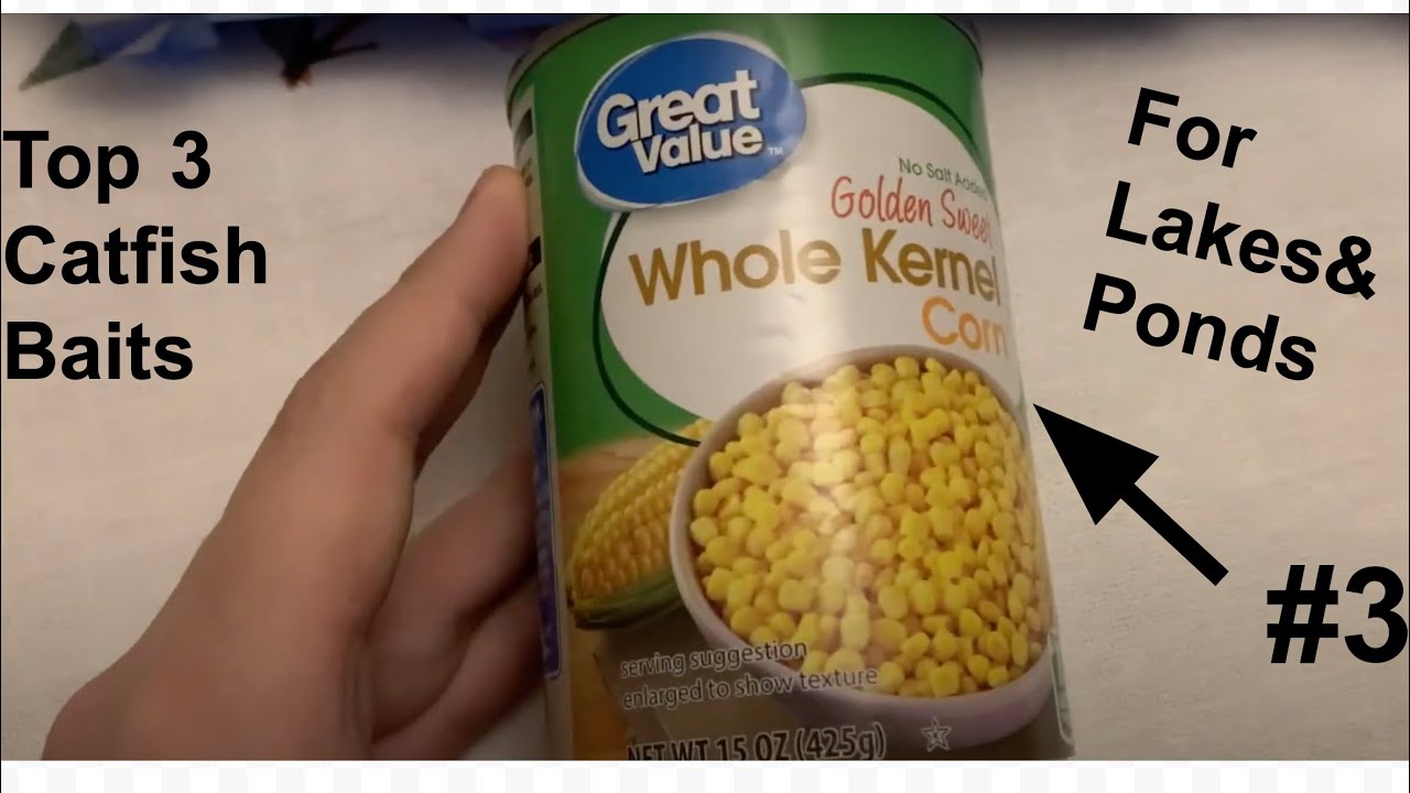 TOP 3 Baits for Catfish in Ponds and Lakes | Bullhead/Channel Catfish ...