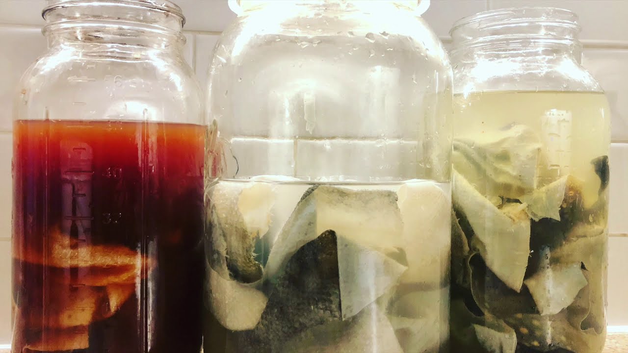 Fish Skin Tanning Classes - YouTube