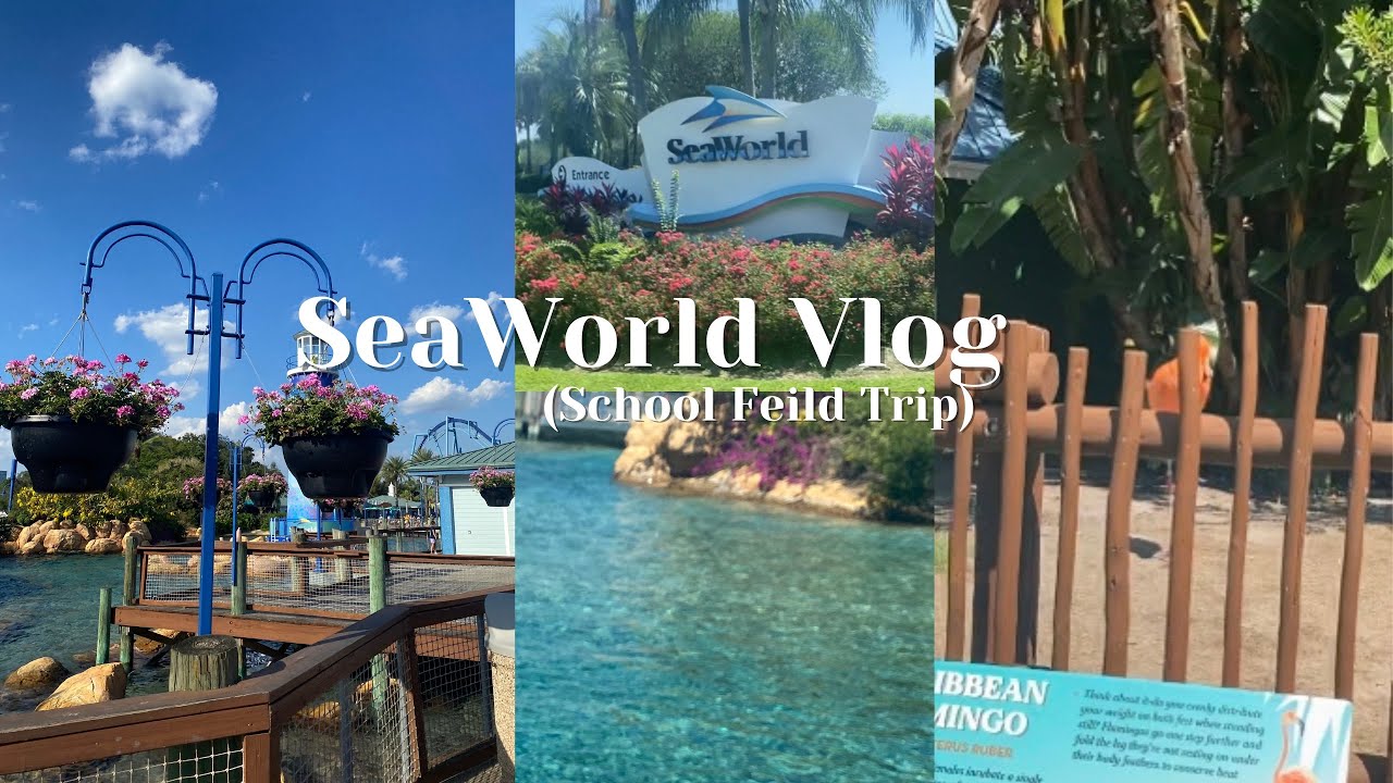SeaWorld Field Trip Vlog! - YouTube