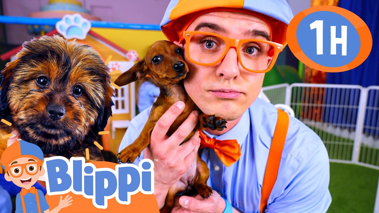 Blippi's Puppy Playground | BEST OF BLIPPI! | Learn Colors and Science ...