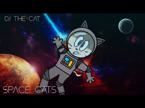 Space Cats - Dj The Cat - YouTube