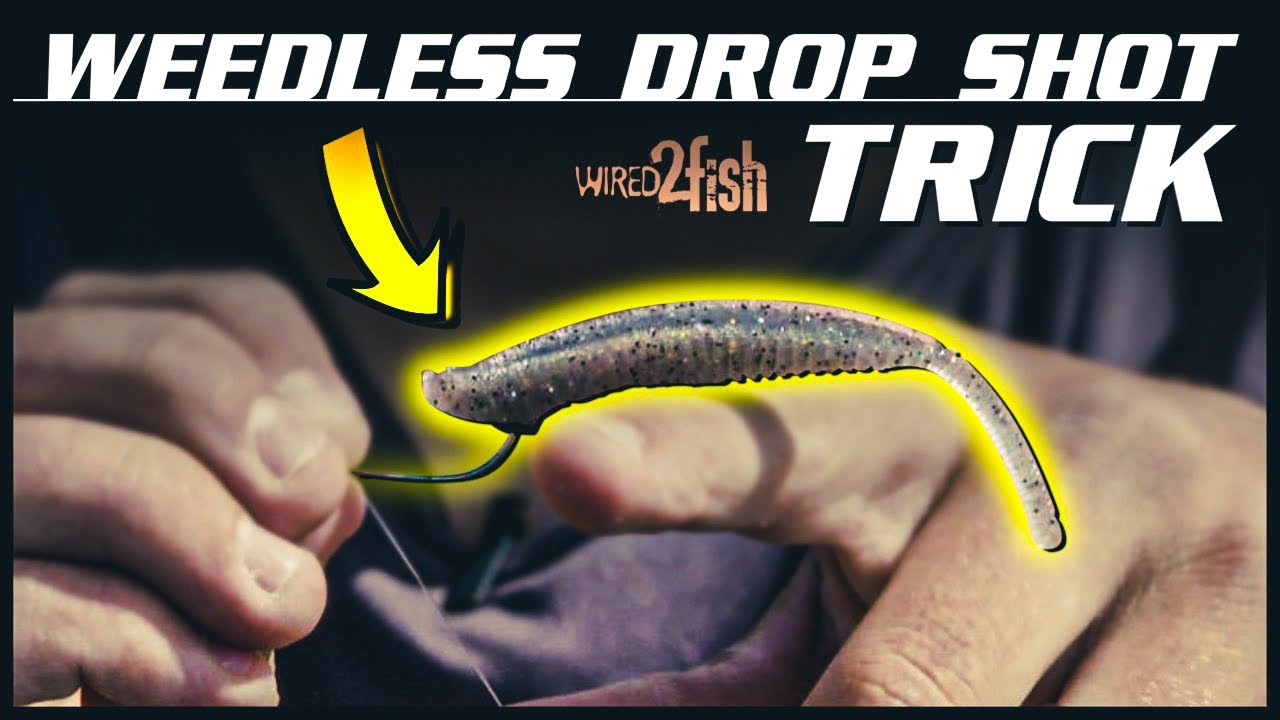 Rigging a WEEDLESS Drop Shot (Without Texas Rigging It) - YouTube