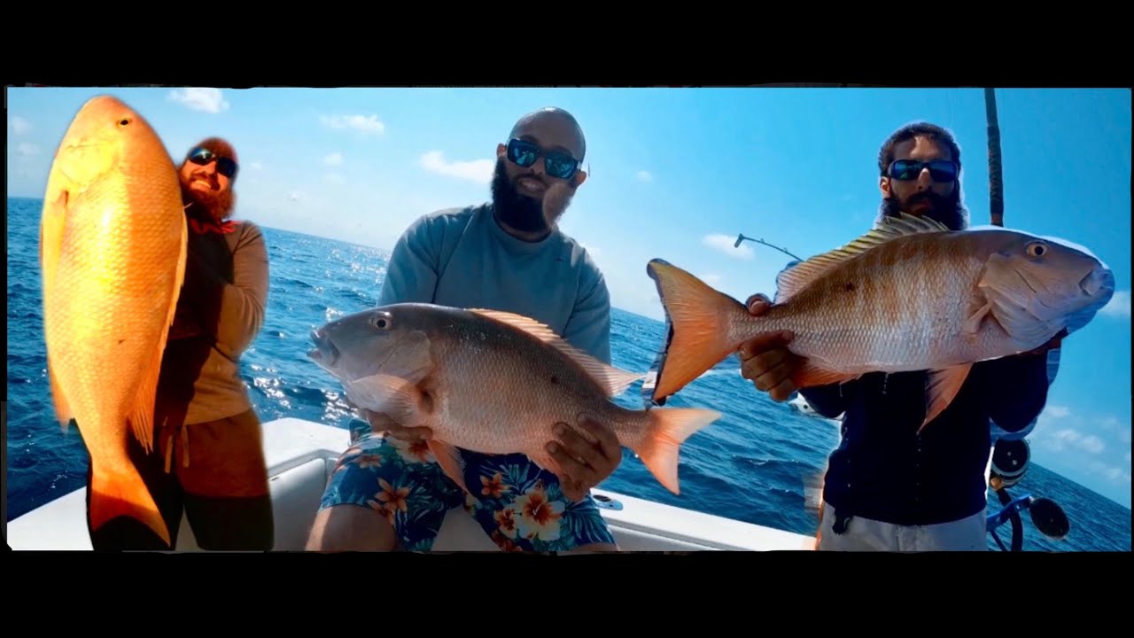 Mutton Snapper PRE-SPAWN Fishing - CATCH CLEAN COOK YELLOWTAIL DINNER ...