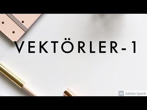 VEKTORLER-1