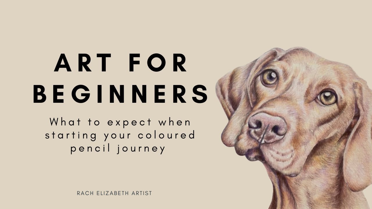 Beginner Artists- WHAT TO EXPECT as you PROGRESS on your journey as an ...
