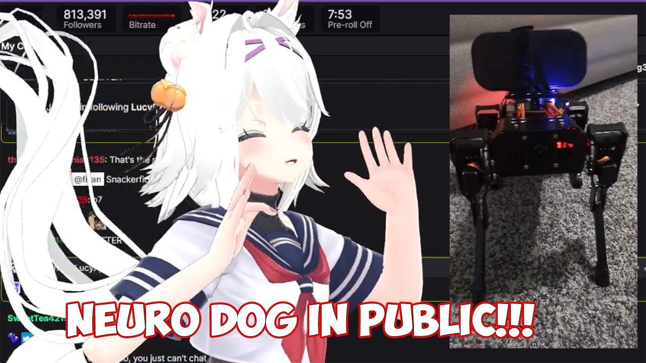 Filian Stream Idea With NeuroDog - YouTube