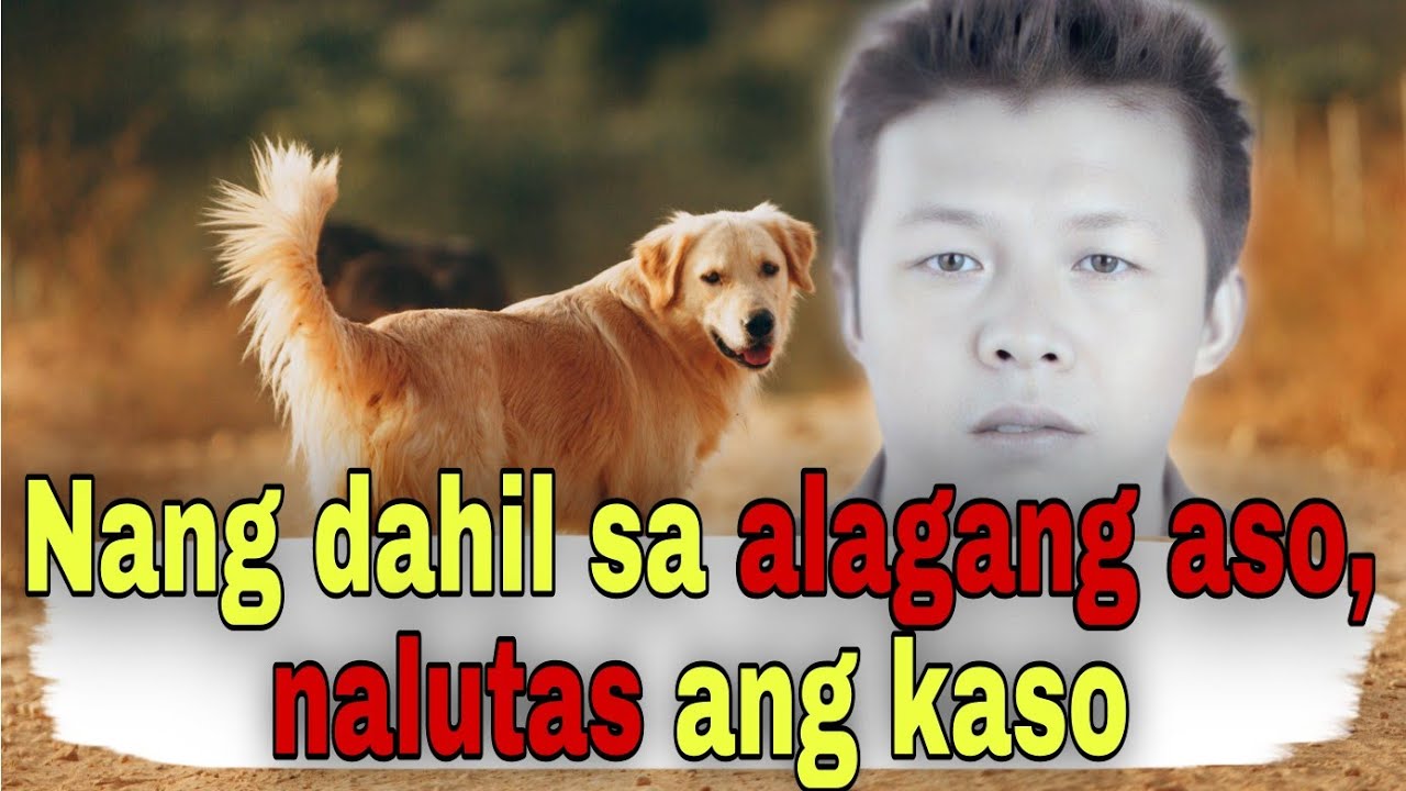 Nang dahil sa alagang aso, nalutas ang kaso || Tagalog True Crime ...