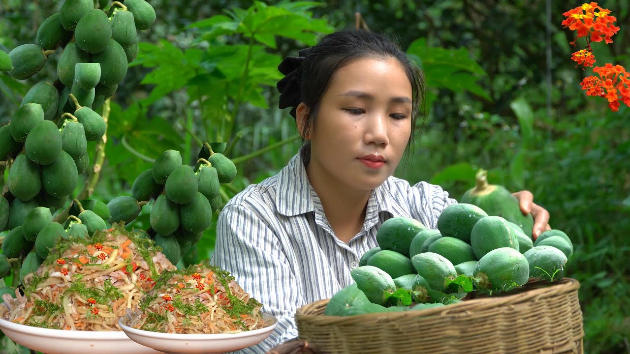 Harvest papaya in the garden and prepare delicious dishes according to ...