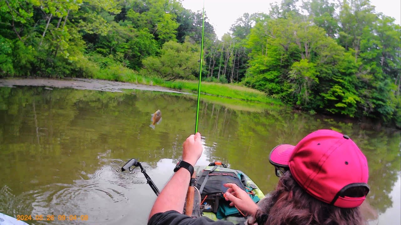 Bluegill fishing for catfish bait. non stop action. #ultralightfishing ...
