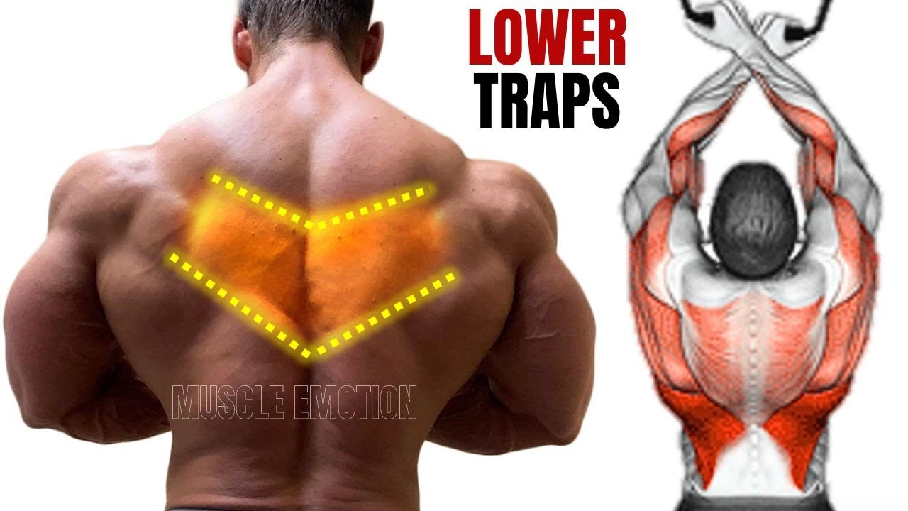 TOP 4 LOWER TRAPS WORKOUT AT GYM / LES MEILLEURS EXERCISES MUSCULATION ...