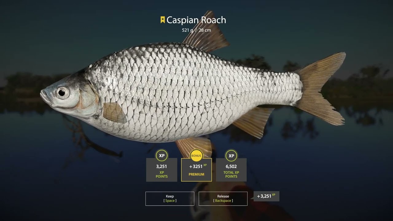Russian Fishing 4 - TROPHY Caspian Roach - Akhtuba River - Active Spot ...