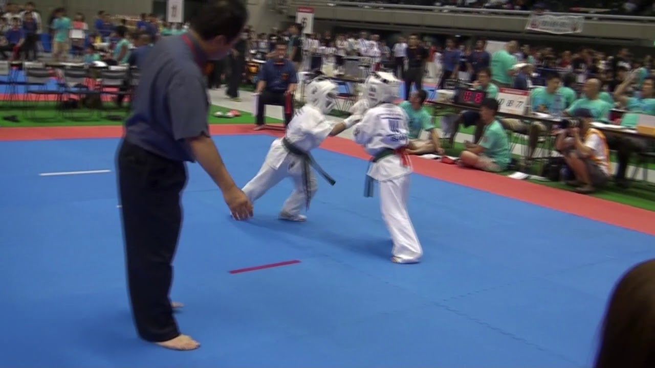 新極真会ーDREAM CUP 2013 NISHIMURA VICTOR RYU - YouTube