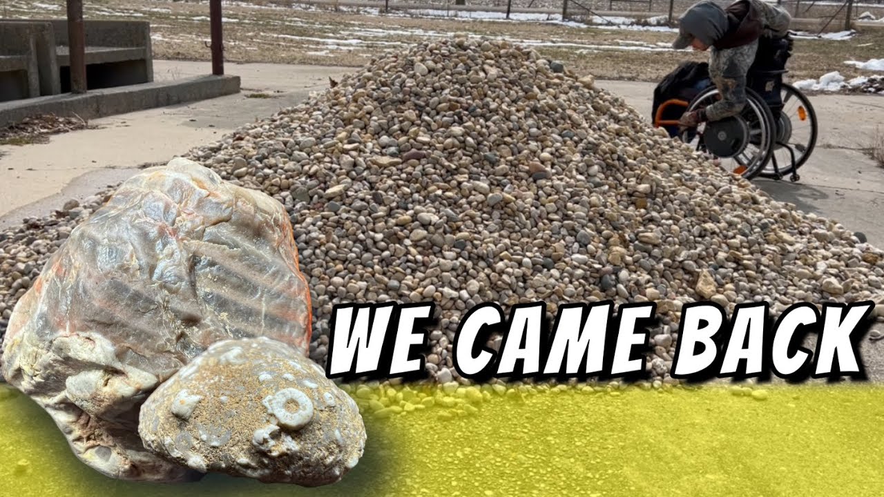 Fossil Hunting / Rockhounding In This Huge Pile Of Rocks #rockhounding ...