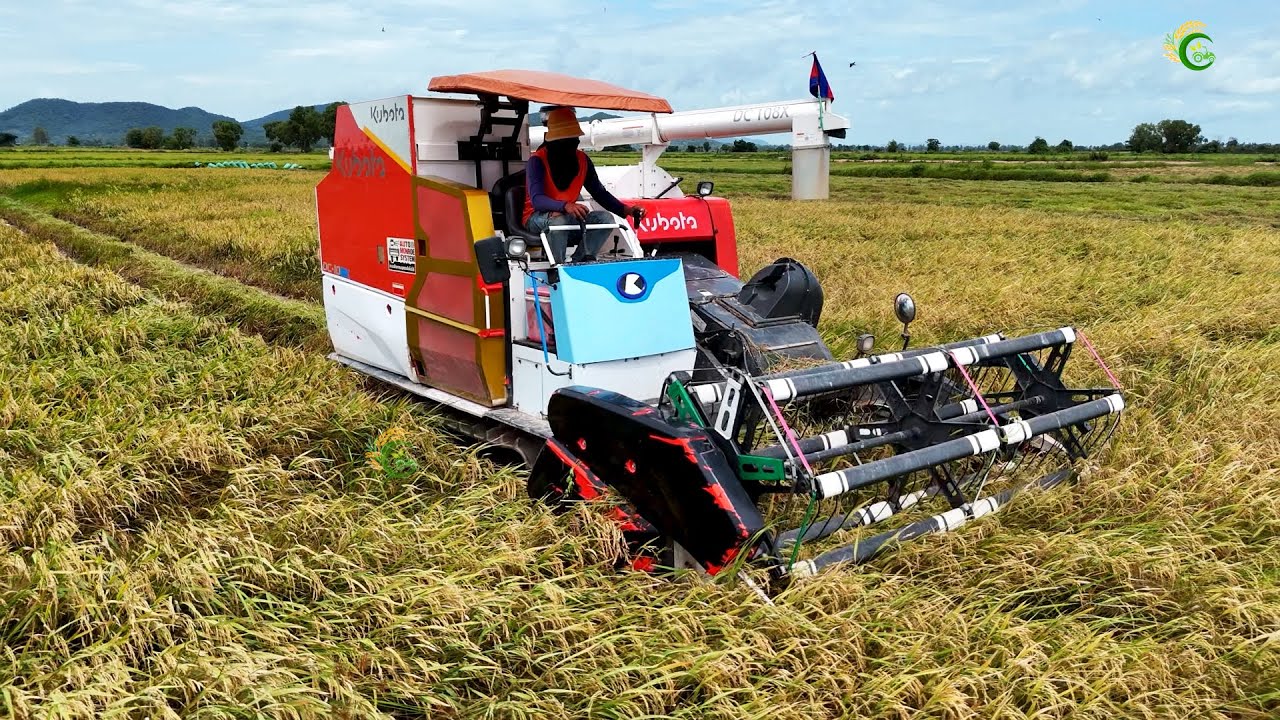 Best New Model Rice Harvester Kubota DC108X Driving Skills Cropping ...